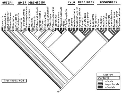 Representative Most Parsimonious Tree Showing Distribution Of The