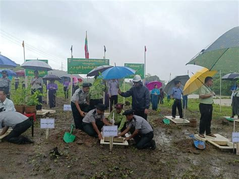 Myanmarnationalpost တောင်ကုတ်မြို့နယ်၌ ၂၀၂၃ ခုနှစ်၊ မိုးရာသီ သစ်ပင်စိုက်ပျိုးပွဲတော်ကျင်းပ