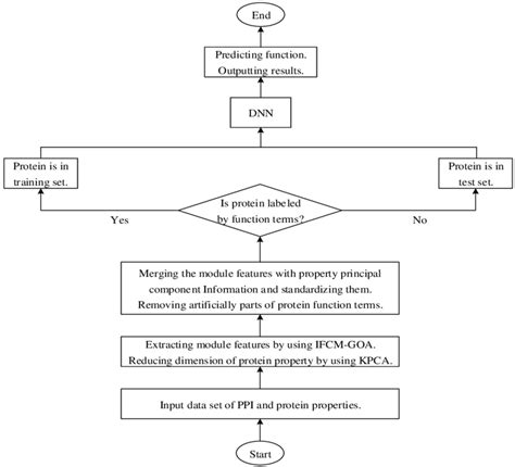 Igp Dnn Algorithm Process Download Scientific Diagram