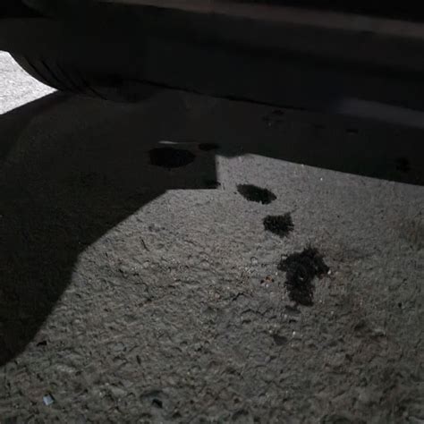 차량 엔진에 기름 및 오일 지식in