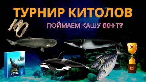 СТРИМ РР3. ИДЕМ СТАВИТЬ РЕКОРД НА КАШУ В ТУРНИРЕ КИТОЛОВ. - YouTube