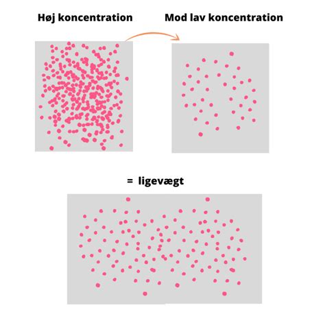 Healthgenie Wiki Ordbog Diffusion