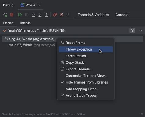alter the program s execution flow intellij idea documentation