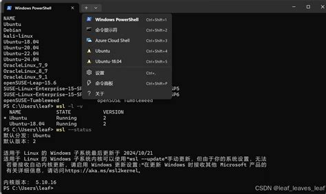 Wsl安装不同版本ubuntu（已有ubuntu2004，再装ubuntu1804）wsl Ubuntu1804 Csdn博客