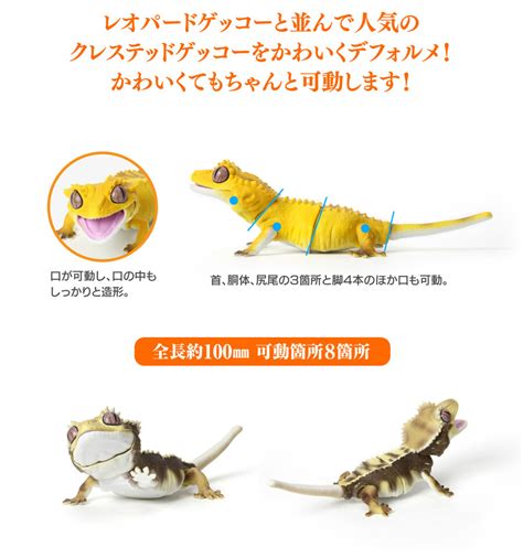 [반다이 가샤폰] 생물대도감 레쁘띠 2탄 크레스티드 게코 눈썹 볏도마뱀붙이 피규어 정보