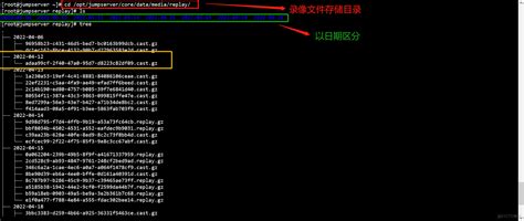 Jumpserver 审计录像wx5c87524331b9e的技术博客51cto博客