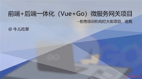 Vue Go 开发企业级微服务网关项目教程前端后端一体化 启程共创未来