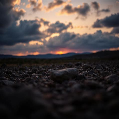 11 Python Dream Interpretation The Intriguing Messages Dreamchrist