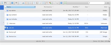 how to easily upload an ads txt file to your wordpress root domain