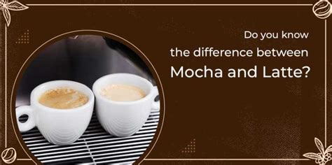 Do You Know The Difference Between Mocha And Latte