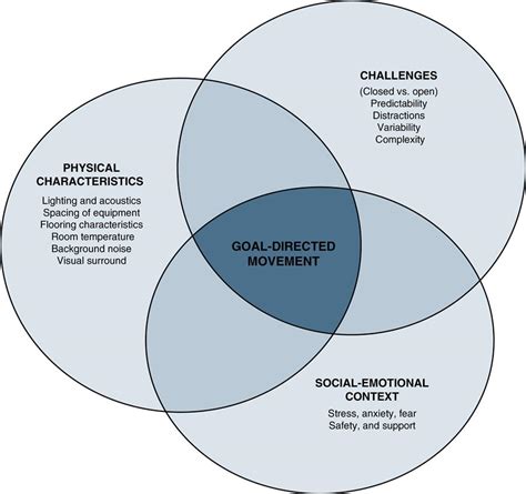 Motor Control Motor Learning And Neural Plasticity In Orthotic And