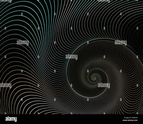 Abstract Fractal Spiral Shell Background Spiral Symmetry Fibonacci