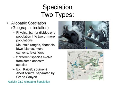 Geographic Isolation Squirrels