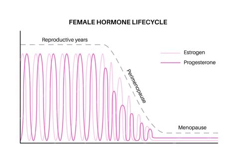 Premium Vector Female Hormones Lifestyle Graph Estrogen End