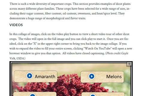 Other Dicot Crops Grin U