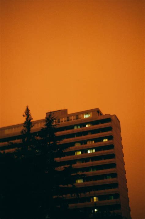 Macayli Hausmann Emotional Algorithm — Broad