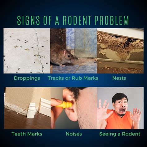 Duncan Exterminating On Linkedin Duncanexterminating Gainesvillega