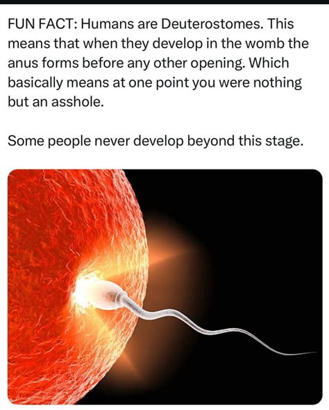 A Hole 9gag