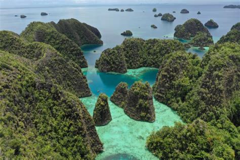 From Diving To Stargazing 8 Incredible Things To Do In Palau Now Visa