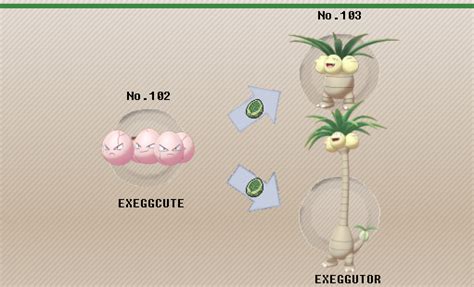 Eggsecute Pokemon Evolution