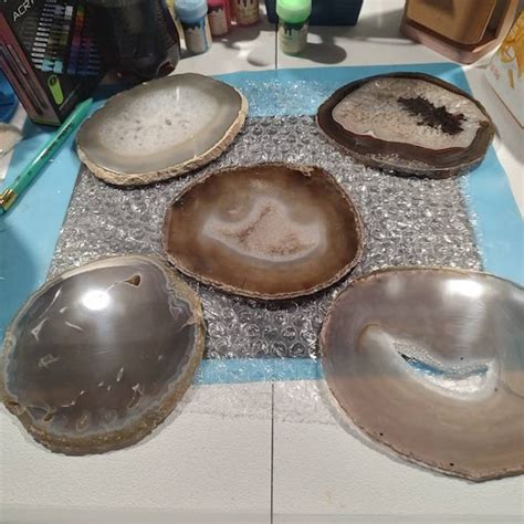 Nautilus Fossil Cretaceous Nautiloid Beautiful Collectible Polished Whole Ammonite Fossil By