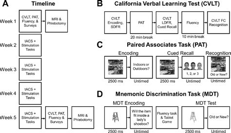 Figure 1 From Gamma Neuromodulation Improves Episodic Memory And Its Associated Network In