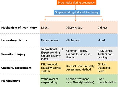 Bromelain Liver Toxicity At Lincoln Pie Blog