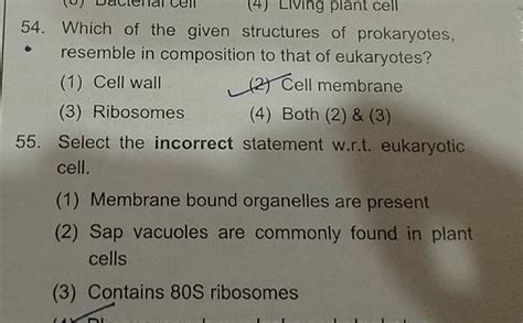 Select The Incorrect Statement W R T Eukaryotic Cell Filo
