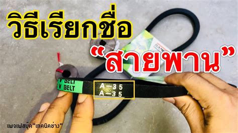 ซื้อสายพานให้ได้ตามขนาดที่เราต้องการ มีวิธีการบอกคนขายแบบนี้ Youtube