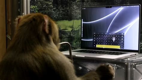 Neuralink Monkey Types With Brain Implant Elon Musk Says Human Testing