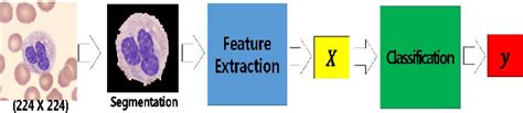 figure 2 from development of resnet based wbc classification algorithm
