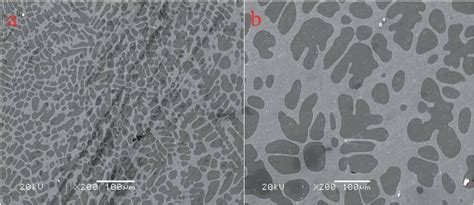 Sem Microstructure Analysis Of Mg Li La Alloys Obtained By Download Scientific Diagram