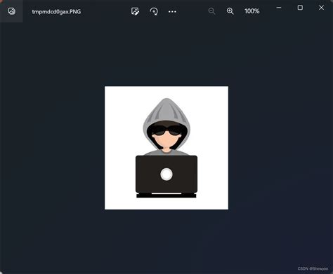 【python】 Python的基本图像处理（图像显示、保存、颜色变换、缩放与旋转等）python图形处理 Csdn博客