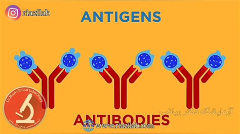 سیستم ایمنی بدن چیست ؟ آزمایشگاه دکتر ریاضی نماشا