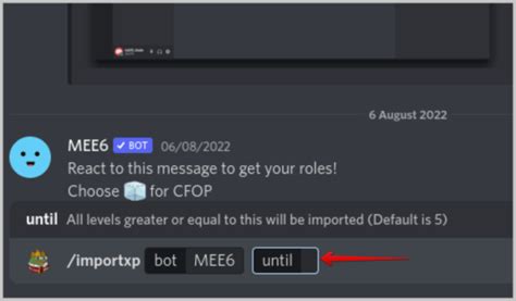 Free Alternative Discord Bot For MEE Levels TechWiser