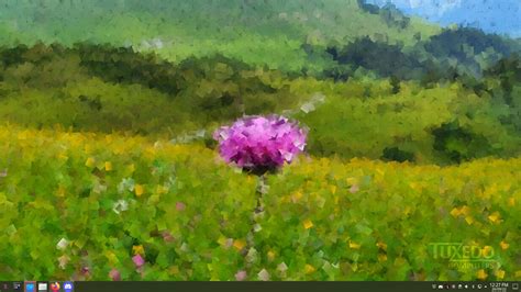 Exclusive Tuxedo Makes Ubuntu Based Tuxedo Os Available For All