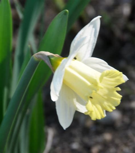 Vicki Lane Mysteries Gon Out Bisy Backson