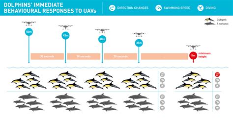 Responses Of Small Cetaceans To Uavs Aimm