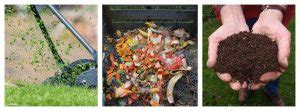 Guide To Composting Growing Rooms Sydney Landscape Design Experts