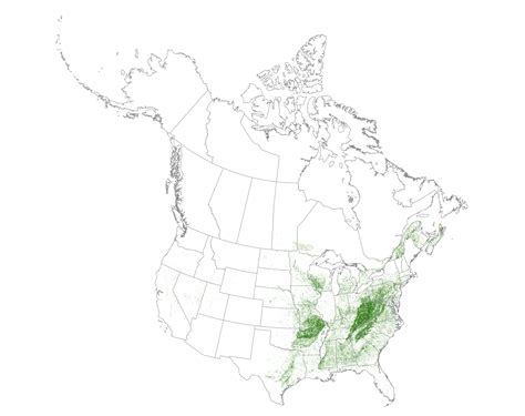 Nearctic Temperate Deciduous Forest Code Ne3b Habitats Of World