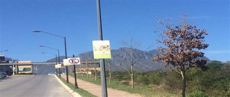 Terreno En Venta Loma Bonita Colonia Loma Bonita Cp 64250