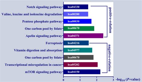 Kegg Pathway Analysis On Co Expressed Genes Calculated Genes Showing Download Scientific