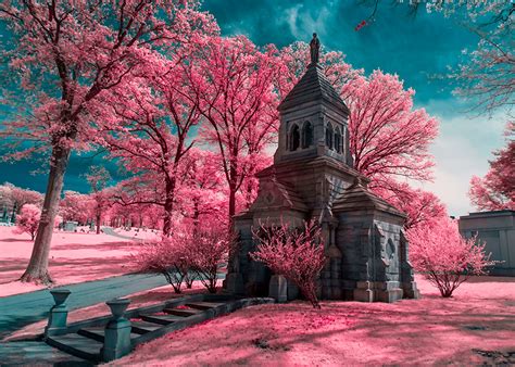 Taking Infrared Photos Using A Mobile Phone