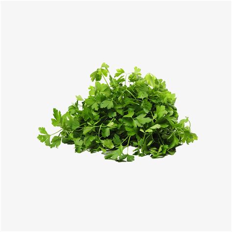 그레프 Gref Green Foundry