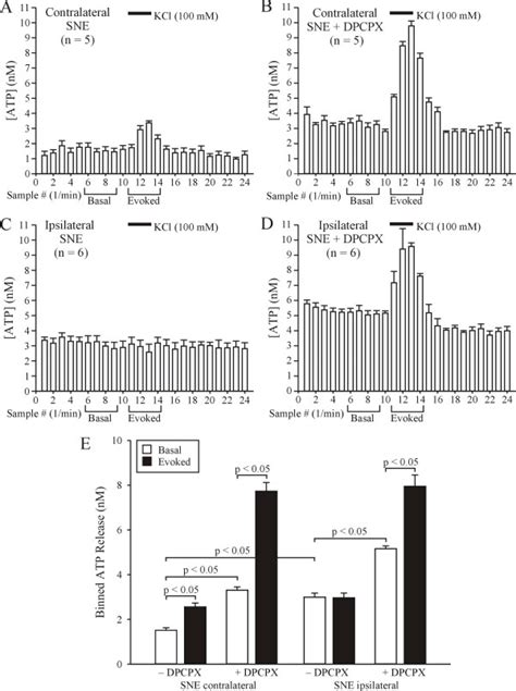 Selective A1 Receptor Blockade Increases Basal Atp Levels And Relieves Download Scientific