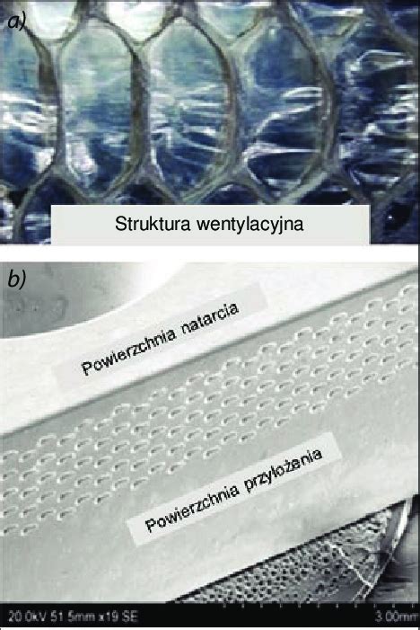 Example Of Bio Inspired Design Of Textured Cutting Tools A Structure