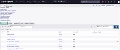 Set Up The Docusign App Center Servicenow Instance Step 4 Assign The User Role