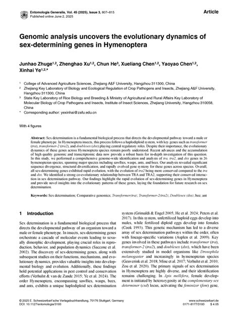 Genomic Analysis Uncovers The Evolutionary Dynamics Of Sex Determining Genes In Hymenoptera