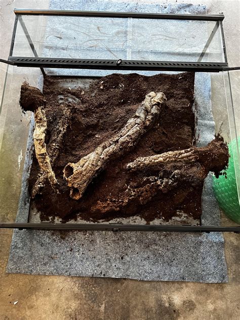 Applying Silicone Sealant Over Existing Sealant R Diyuk