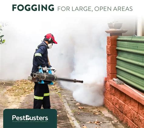 How We Control Adult Mosquitoes With Misting And Fogging Pestbusters